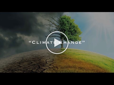 Climate Change | Postman API Network